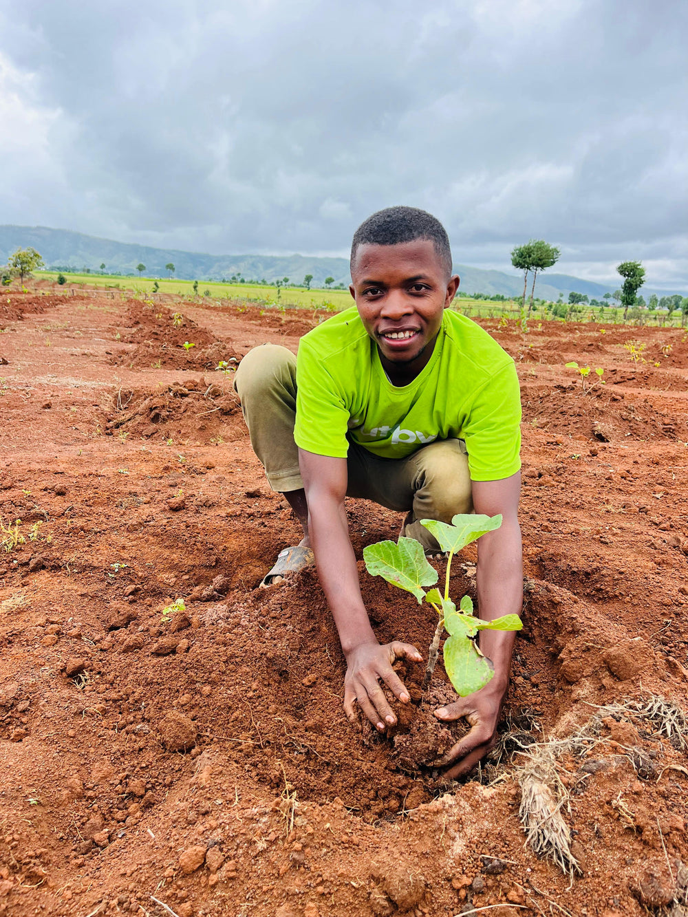 Frutopy : le cadeau original qui plante un arbre pour la vie