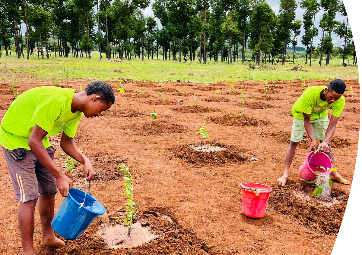 Frutopy : le cadeau original qui plante un arbre pour la vie